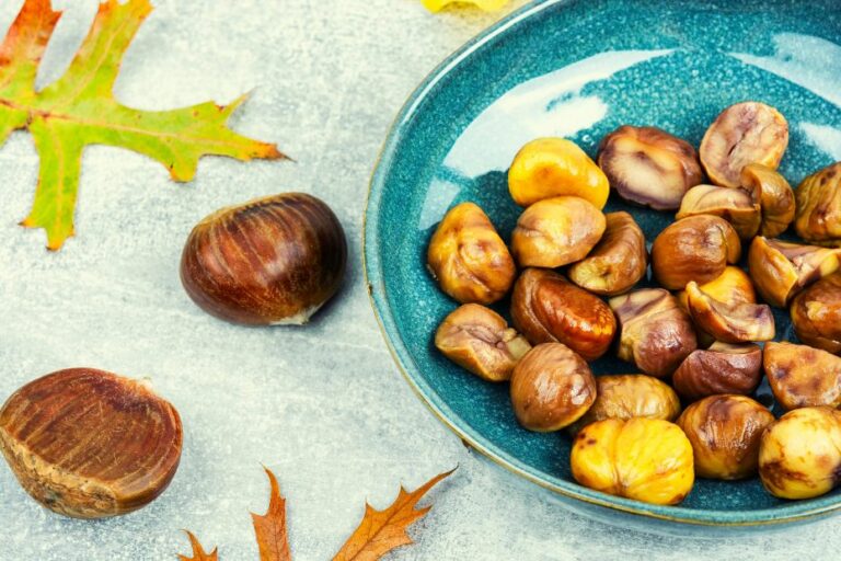 Maroni im Dampfgarer zubereiten - Küchenfinder